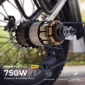 SOHAMO S3 Electric Bike, 750W Brushless Moter, Foldable Electric Bicycles for Adults, 48V 15Ah Removable Battery, Fat Tire 20" Ebike, 28Mph Max Up to 40 Miles, for Women