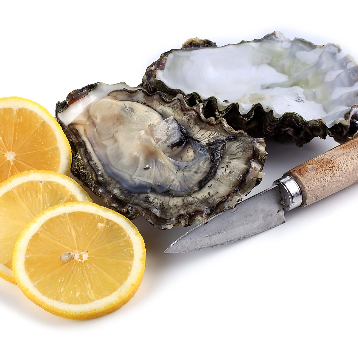 SEJONG COOK Oyster Shucking Knife, Commercial Grade Clam and Shellfish tool With Ergonomic Grip And Wood Handle, Good For Home Restaurant Kitchen And Outdoor (2.5T Stainless Steel)