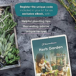 9 Herb Garden Seeds for Planting - USDA Certified Organic Herb Seed Packets - Non GMO Heirloom Seeds - Plant Markers & Gift Box - Tulsi Holy Basil, Cilantro, Mint, Dill, Sage, Arugula, Thyme, Chives