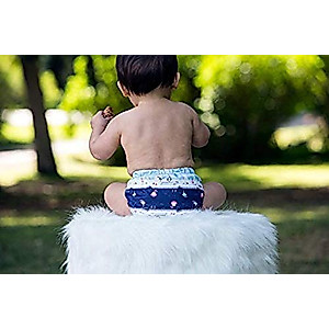 GroVia Newborn All in One Snap Reusable Cloth Diaper (AIO) (Petal)