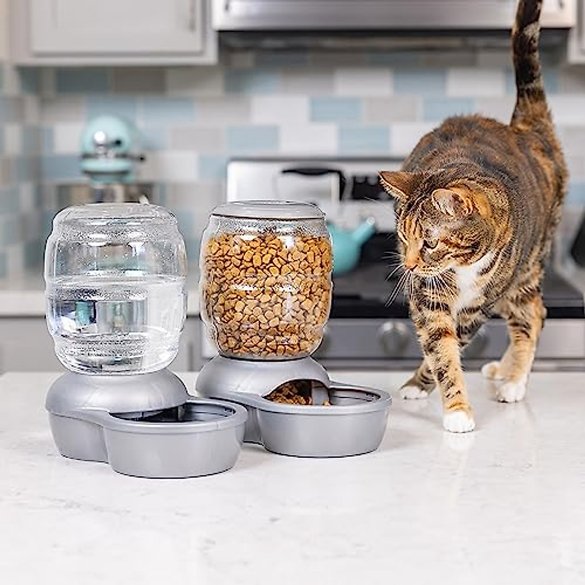 Petmate Replendish Gravity Waterer Cat and Dog Water Dispenser 0.5 GAL, Blue