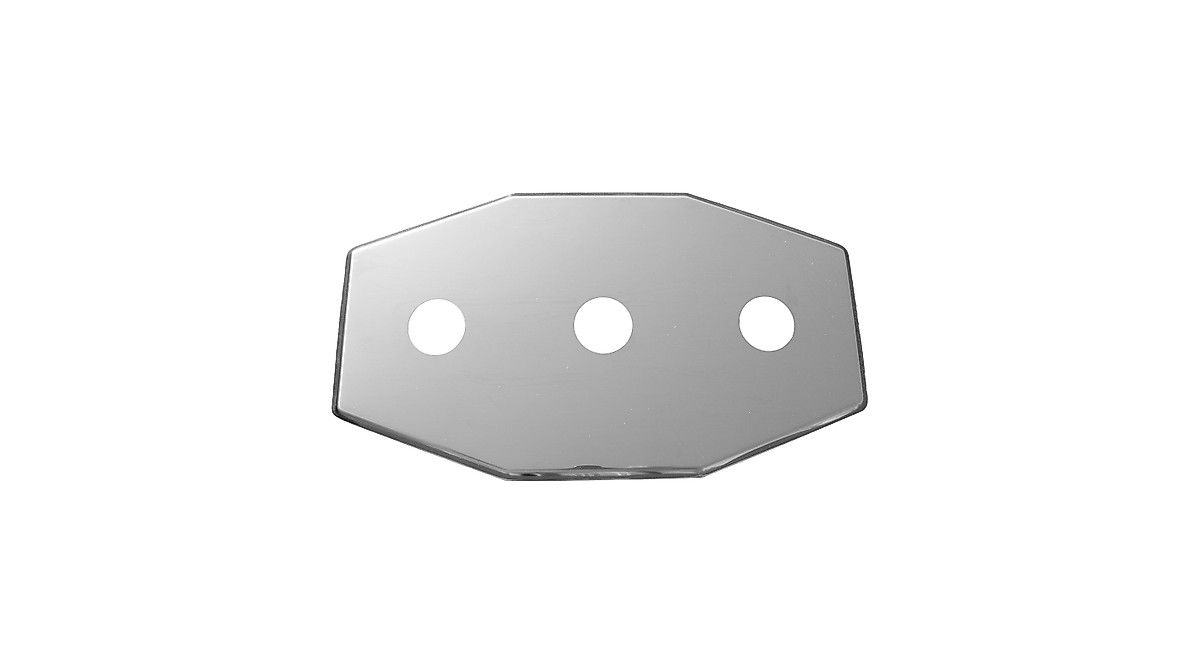 LASCO Smitty Plate: Durable Stainless Steel Cover Plate