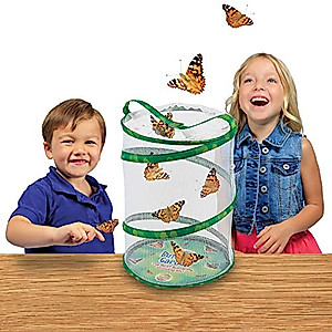 Insect Lore - 3 Pack Butterfly Habitat, Pavilion, Garden, and Mini Garden Insect Mesh Cages, Pop Up Terrarium