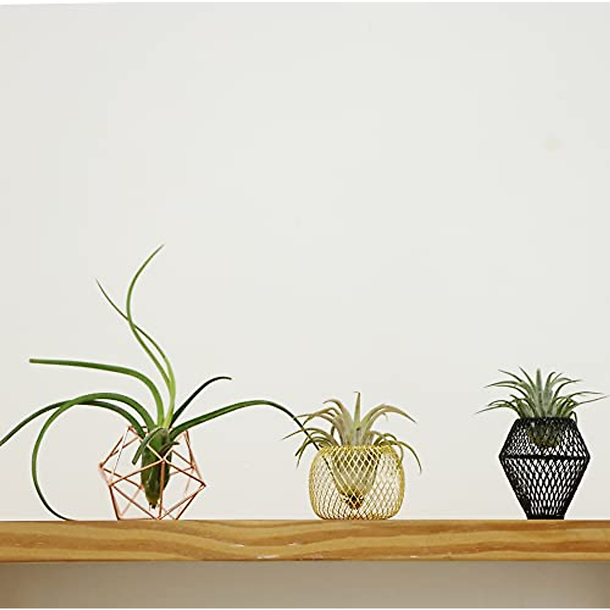 Newwe Pack of 3 Air Plant Holder Metal Airplant Pot Geometric Tabletop Decor Air Plants Planter Tillandsia Display for Home Office
