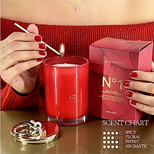 ESNA HOME Aromatherapy Scented Candles | Lavender Essential Oil | 50 Hours Burn Soy White Candles | Celebrate Mom Self Care Present for Mom | Unique Present Room Decor Candle for Home Scented