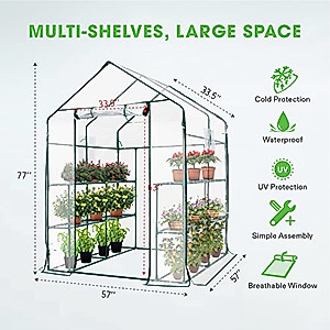 VIVOSUN 57x57x77-Inch Transparent Mini Walk-in Green House with Window and Anchor, Plant Garden Hot House 2 Tiers 8 Shelves, 4.7 x 4.7 x 6.4 FT