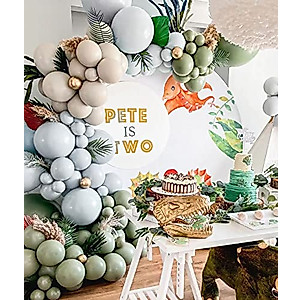 Woaipati Retro Avocado Green Balloon Garland Arch Kit Double-Stuffed Baby Blue Balloons Olive Balloon and Gold Metallic Chrome Latex Balloons Set for Wedding Birthday Balloons Baby Shower Decorations