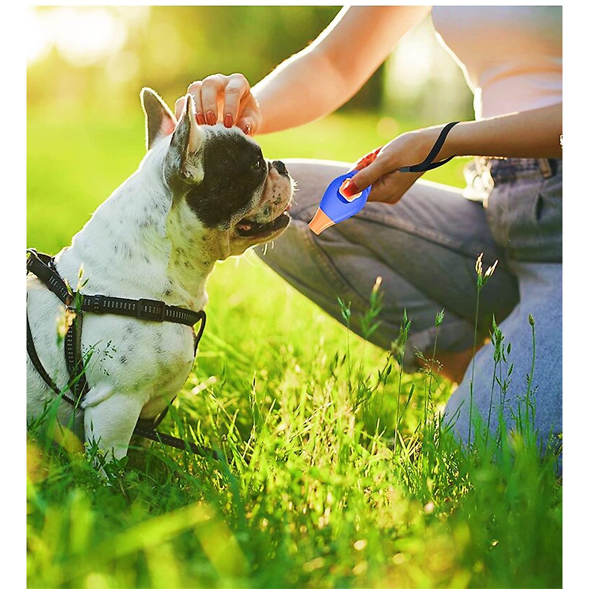 Dog Training Clicker with Whistle and Wrist Strap - Positive Behavior Reinforcer for Pets - All Ages, Puppy and Adult Dogs - Use to Reward and Train - Dog Whistle Included (Blue)
