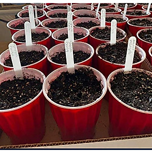 6 inch Plant Markers,Thick Plant Labels Garden Labels,White-100pcs