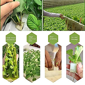 100Pcs Hydroponic Sponge Planting Tool Square Sponges for Greenhouse Hydroponic Sponge