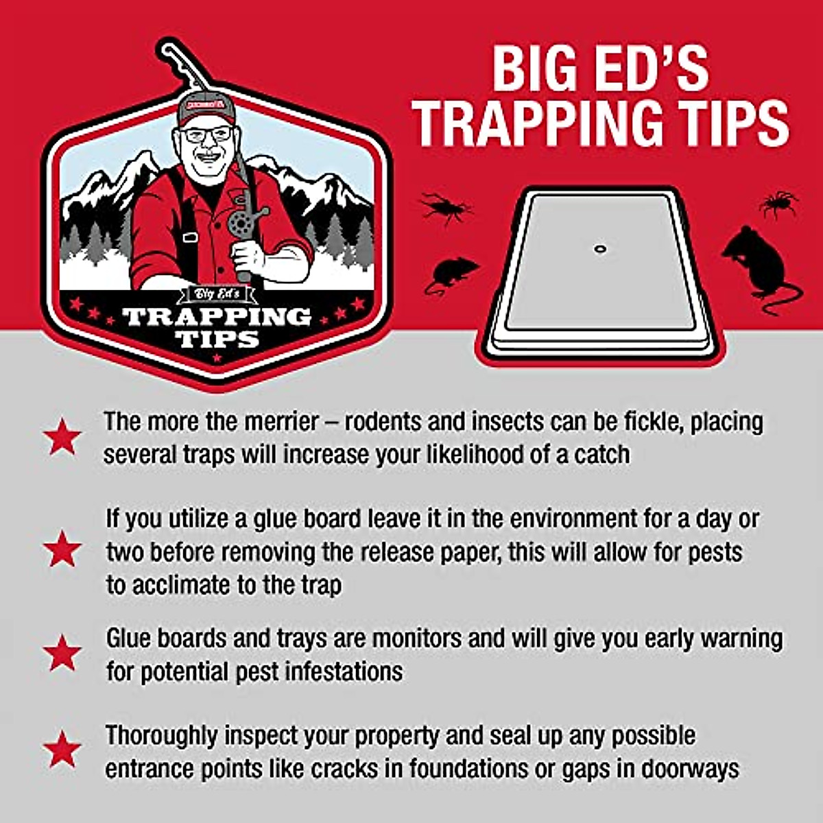 Baited Glue Traps by Catchmaster - 6 Pre-Baited Trays, Ready to Use Indoors. Rat Mouse Snake Exterminator Plastic Sticky Adhesive Easy No-Mess Simple Non-Toxic Disposable - Made in The USA