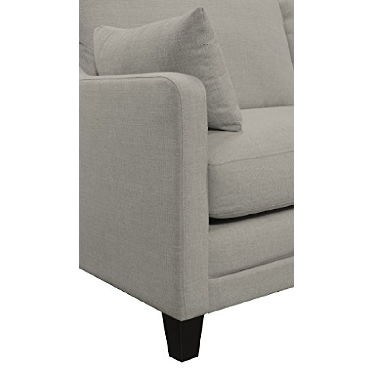 Serta Carmina 75 Contemporary Upholstered Living Room Sofa, Modern Couch for Two or Three, High Plush Seat Cushions and Back Pillows, Easy Assembly, Rhine Gray