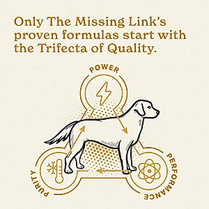 The Missing Link Skin & Coat Probiotics Superfood Supplement Powder for Dogs - Omegas 3 & 6, Fiber, Vitamin-E, Biotin - Supports Healthy Skin & Glossy Coat, Promotes Hair Growth - 1lb