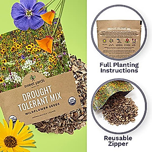 Sweet Yards Seed Co. Drought Tolerant Wildflowers Mix – Extra Large Packet – Over 7,500 Open Pollinated Non-GMO Seeds – 21 Different Dryland Species!