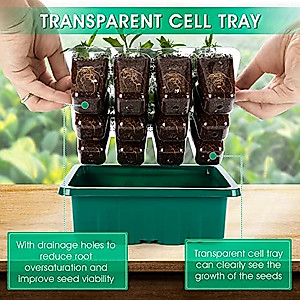 Seed Starter Tray, 6PCS Seed Starter Kit with Grow Light, Seedling Trays with Humidity Domes, Covers Height 3.9", Indoor Gardening Plant Germination Trays (12 Cells per Tray)