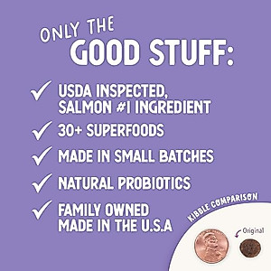 Health Extension Dry Dog Food, Natural with Added Vitamins & Minerals, 1 lb / 0.45 kg, Grain Free, Salmon & Sweet Potato Recipe with Vegetables & Berries for All Puppies