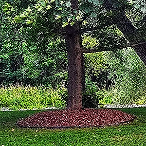 60-Pack 8 Inch Plastic Edging Nails, Landscape Edging Stakes Spiral Nylon Yard Garden Anchoring Spikes for Artificial Turf, Paver Edging, Weed Barrier, Tent