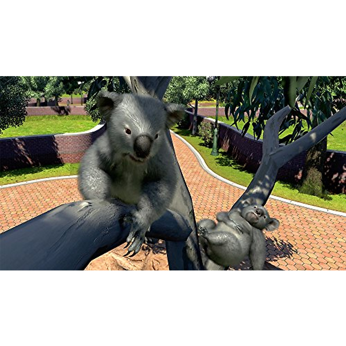 Zoo Tycoon Definitive Edition - XBONE