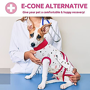 KOESON Dog Recovery Suit, Spay Suit for Female Dogs with Pee Hole Pet Surgical Recovery Suit Dog Cone Alternative, Dog Surgery Recovery Suit Anti Licking Pet Bodysuit for Abdominal Wound Balloon S