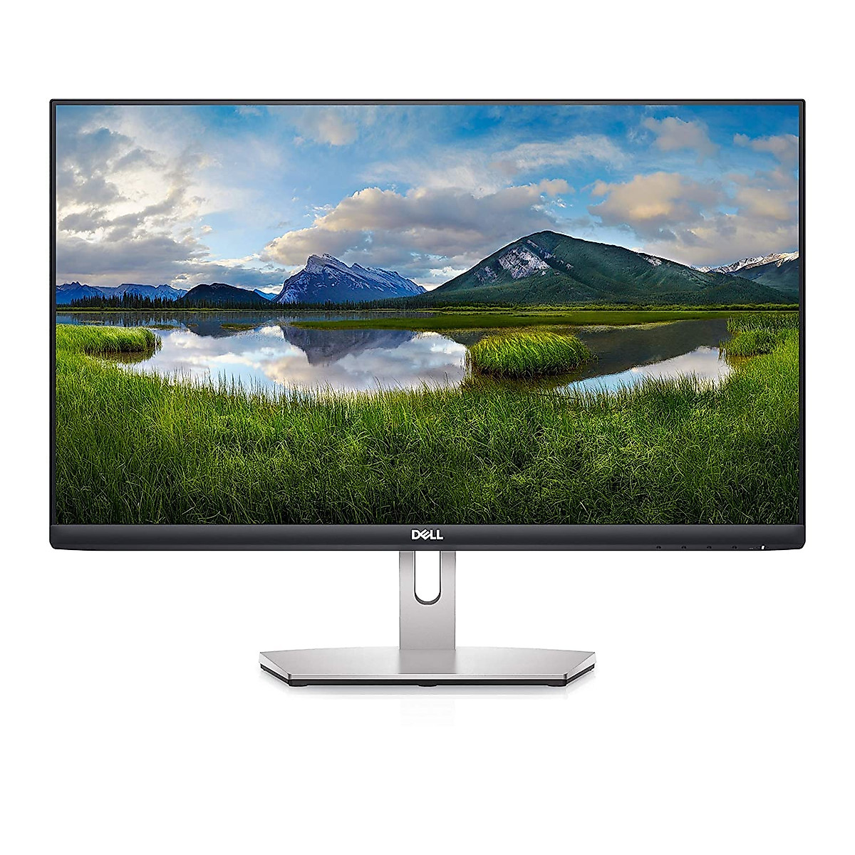 Dell S2421HN 24 Inch Full HD 1080p (1920 x 1080) 75Hz IPS Ultra-Thin Bezel Monitor 2 x HDMI Ports, Audio Line Out, Adaptive AMD FreeSync, Silver (Renewed)