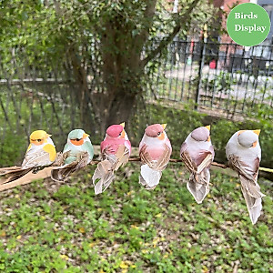 LWINGFLYER 12pcs Artificial Foam Feather Birds Mini Decorative Love Bird Ornaments for Wreaths Craft Christmas Tree Decoration Flower Arrangements 10cm/4inch Claw