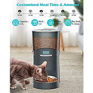 Automatic Cat Feeder, HoneyGuaridan 6.5L Pet Feeder for Cats and Dogs Dry Food Dispenser with Desiccant Bag, Stainless Steel Bowl, 6 Meals Portion Control, Dual Power Supply &10s Voice Recorder