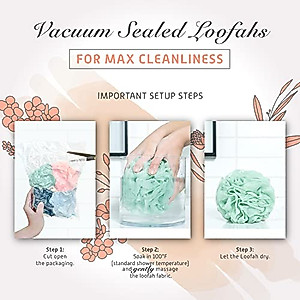 Spongentle Deep Cleansing Loofah Sponge, Pack of 4, Bath and Shower, Exfoliating Body Scrubber, Gorgeous Colors for Women and Men