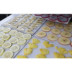 Kispog Dehydrator Sheets for NESCO FD-7SSD, 7 pcs/sets 12x11 inch Mesh Silicone Dehydrator sheets.