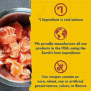 Zuke’s Mini Naturals Soft Dog Treats for Training, Soft and Chewy Dog Training Treats with Salmon Recipe