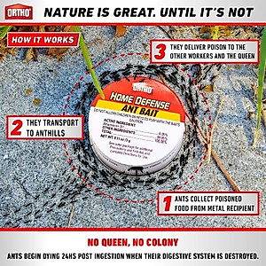Ant Traps Indoor by ORTHO Home Defense 10pk- Metallic & Adhesive Ant Killer Indoor & Ant Killer Outdoor - Ant Trap & Ant Bait Traps Indoor Ant Killer - Ant Traps Outdoor,Ant Bait Outdoor