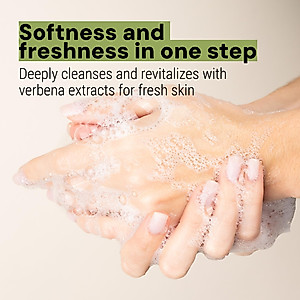 Panier des Sens - Liquid Hand Soap - Verbena Hand Wash - French Marseille Moisturizing Hand Soap with Coconut Oil - Refillable Kitchen & Bathroom Hand Soap - 97% Natural Ingredients -16.9 Fl.oz