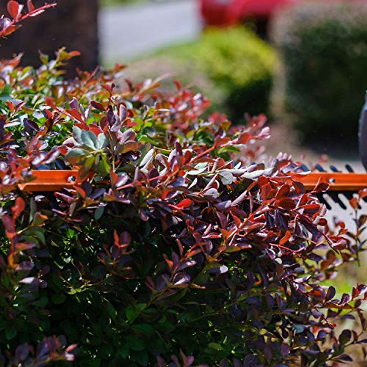 Scotts Outdoor Power Tools HT10020S 20-Inch 3.2-Amp Corded Electric Hedge Trimmer, Grey