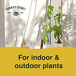 Farmer’s Secret Money Tree Liquid Plant Food Fertilizer (8oz) - Super Concentrated - Strengthen Roots and Encourage Growth in All Varieties of Money Trees