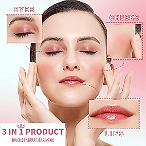 4 Pcs Fruit Lip Stain Set, Vivid Watery Lip Tint Lip Gloss, Plump Velvet Lip Tint Stain, Natural Matte Liquid Lipstick for Lips Cheek Eye, Non-Stick Cup Mini Tinted Lip Long lasting Waterproof