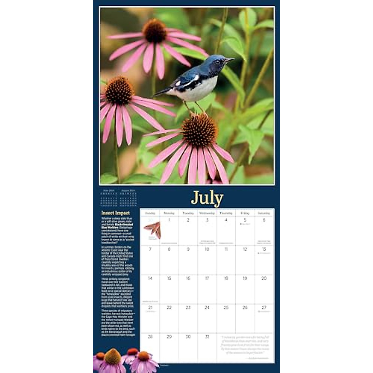 Audubon Birds in the Garden Wall Calendar 2024: Use Native Plants to Attract Birds and Pollinators to Your Backyard