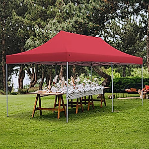 10 FT X 10 FT Double Hardtop Gazebo Galvanized Steel Outdoor Patio Gazebo Aluminum Frame Double Vented Roof Pergolas with Curtains (Red)