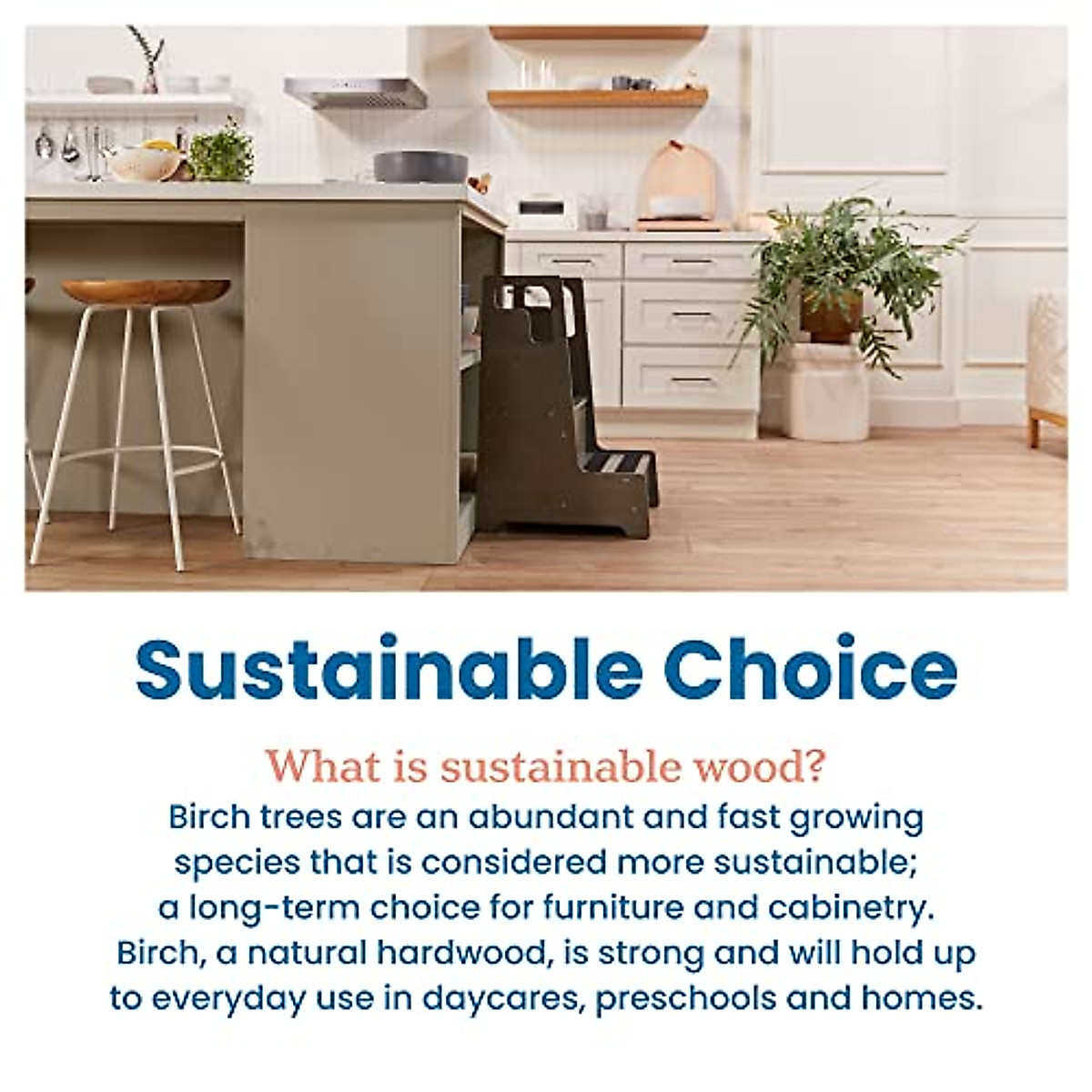 ECR4Kids Reach-Up Step Stool with Handles, Kids Furniture, Grey Wash