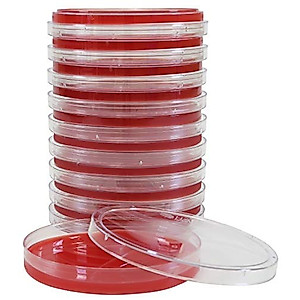 Columbia Blood Agar, 5 Percent Sheep Blood, a General Growth Medium for The Cultivation of Microorganisms, Shows Hemolytic Reactions, 15x100mm Plate, Order by The Package of 10, by Hardy Diagnostics