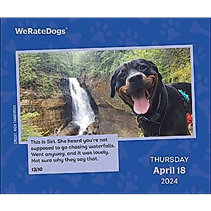 WeRateDogs 2024 Day-to-Day Calendar