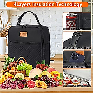 DIRGEE Lunch Box for Men Insulated Lunch Bag for Women Adults Small Lunch Bag for Office Work Lunch Bag For Men - Leakproof Freezable Cooler Bag Reusable Portable Lunch Box (Black)