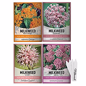 Milkweed Seeds For Monarch Butterflies (4 Variety Pack) Common, Showy, Butterfly and Rose Varieties Attracts Butterflies, Bees and Pollinators Heirloom Flower Seeds Wildflower Seed by Gardeners Basics
