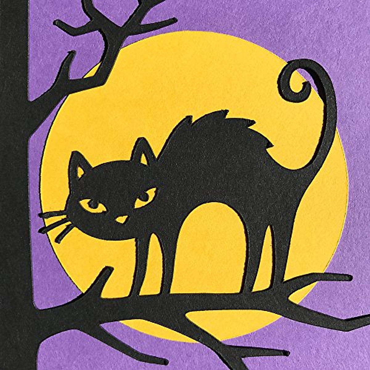 Black Licorice Cardstock Paper - 12 X 12 Inch 100 Lb. Heavyweight Cover - 25 Sheets From Cardstock Warehouse