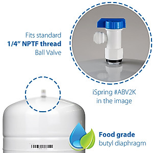 iSpring T32M Pressurized Water Storage Tank with Ball Valve for Reverse Osmosis RO Systems, 4 Gallon, 1/4" Tank Valve Included