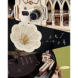 ROKR 3D Wooden Puzzles for Adults-Model Building Kit for Adults to Build-424Pcs DIY Wood Craft Kit-Room Decor for Men and Women