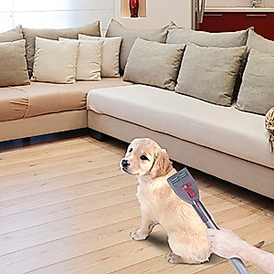 Penn-Plax VacGroom Pet Grooming and Shedding Vacuum Attachment Kit – Great for Dogs, Cats, and Your Furniture! Works With Almost All Vacuum Brands