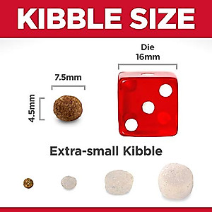 Hill's Science Diet Dry Food, Adult 11+ for Senior Dogs, Small Paws, Chicken Meal, Barley & Brown Rice Recipe, 15.5 lb Bag