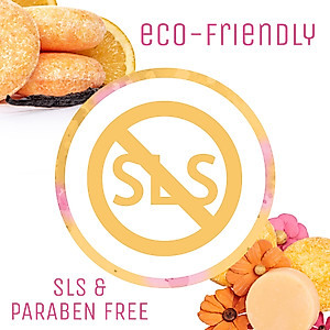 Sweet & Sassy Shampoo + Conditioner Bars: Includes 1 Shampoo, 1 Conditioner. Made in the USA. Natural, Organic, SLS Free, Safe for Color Treated Hair. Sunkissed