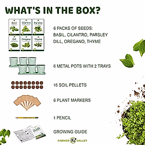 Medicinal Herbs Starter Kit - 6 Different Heirloom, Non GMO Herb Seeds - Cilantro, Basil, Parsley, Oregano, Dill, Thyme - Deluxe Metal Pots, Soil, Markers Included - Made in USA - Indoor and Outdoor