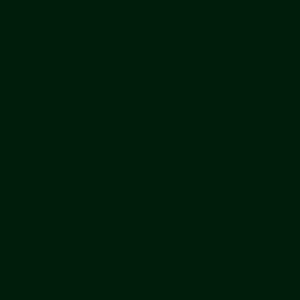 Solid Forest Green Anti-Pill Fleece Fabric by The Yard (Medium Weight)