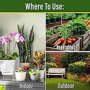 GARDENWISE 10-10-10 Fertilizer for All Purpose Plants - Liquid Fertilizer with Seaweed Kelp & Iron - Plant Food Outdoor & Indoor Plant Food, Vegetables, Flowers, Lawn & Garden 10 10 10 Fertilizer 8oz